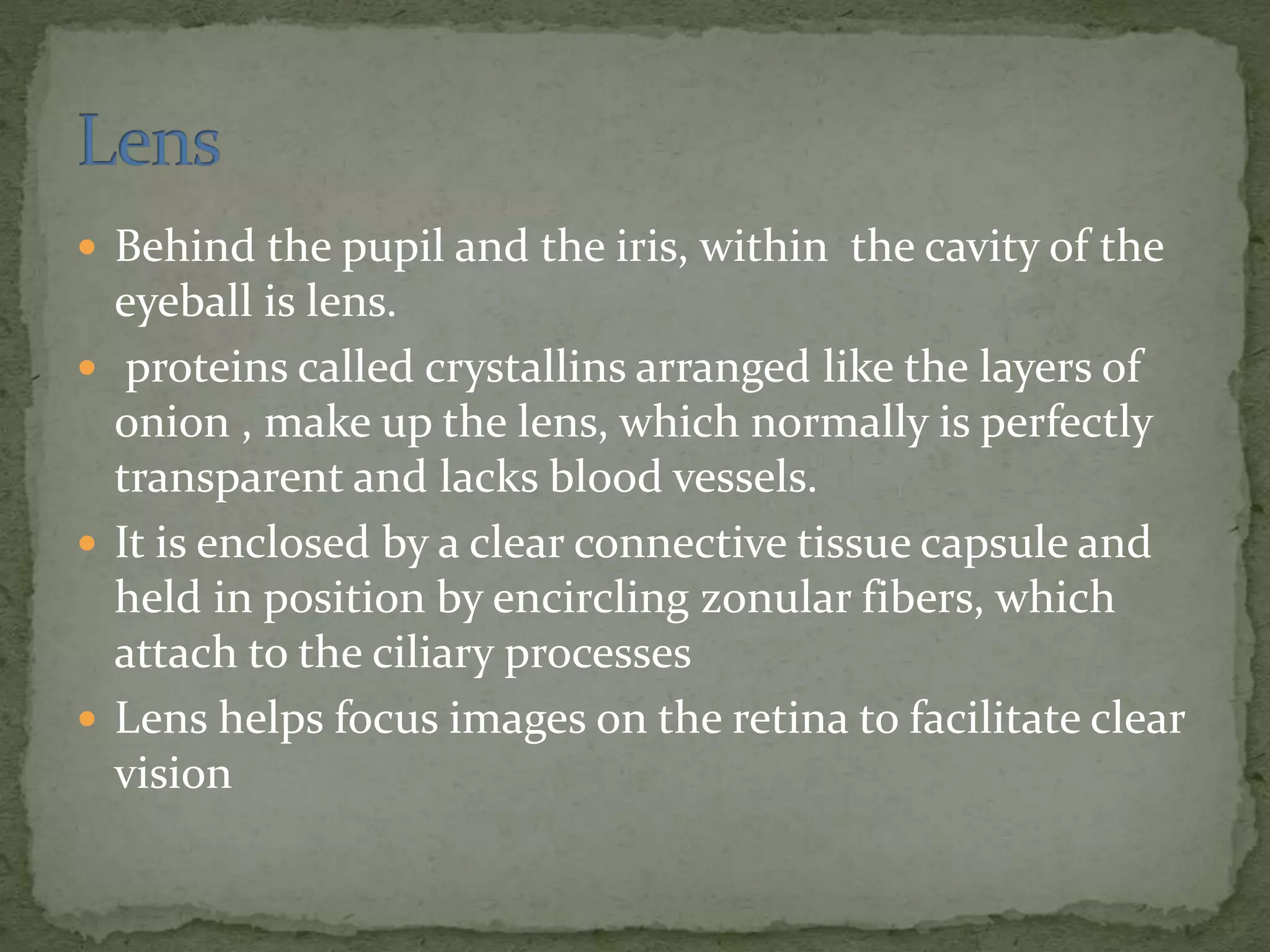 anatomy of eye | PPTX