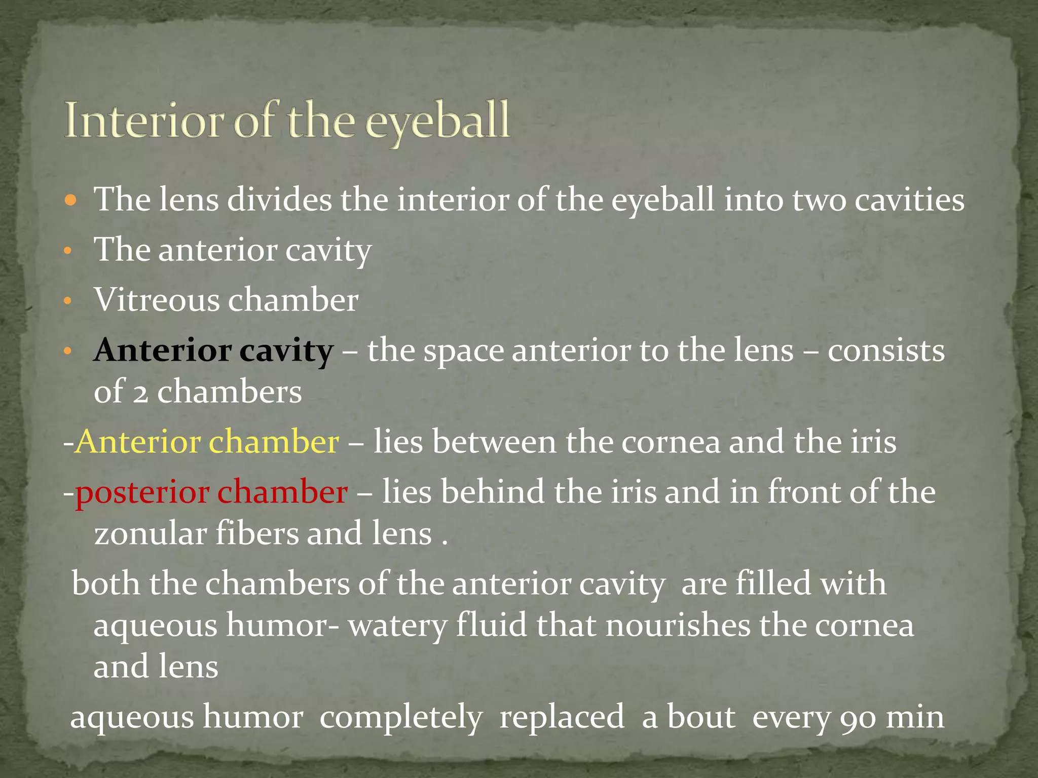 anatomy of eye | PPTX