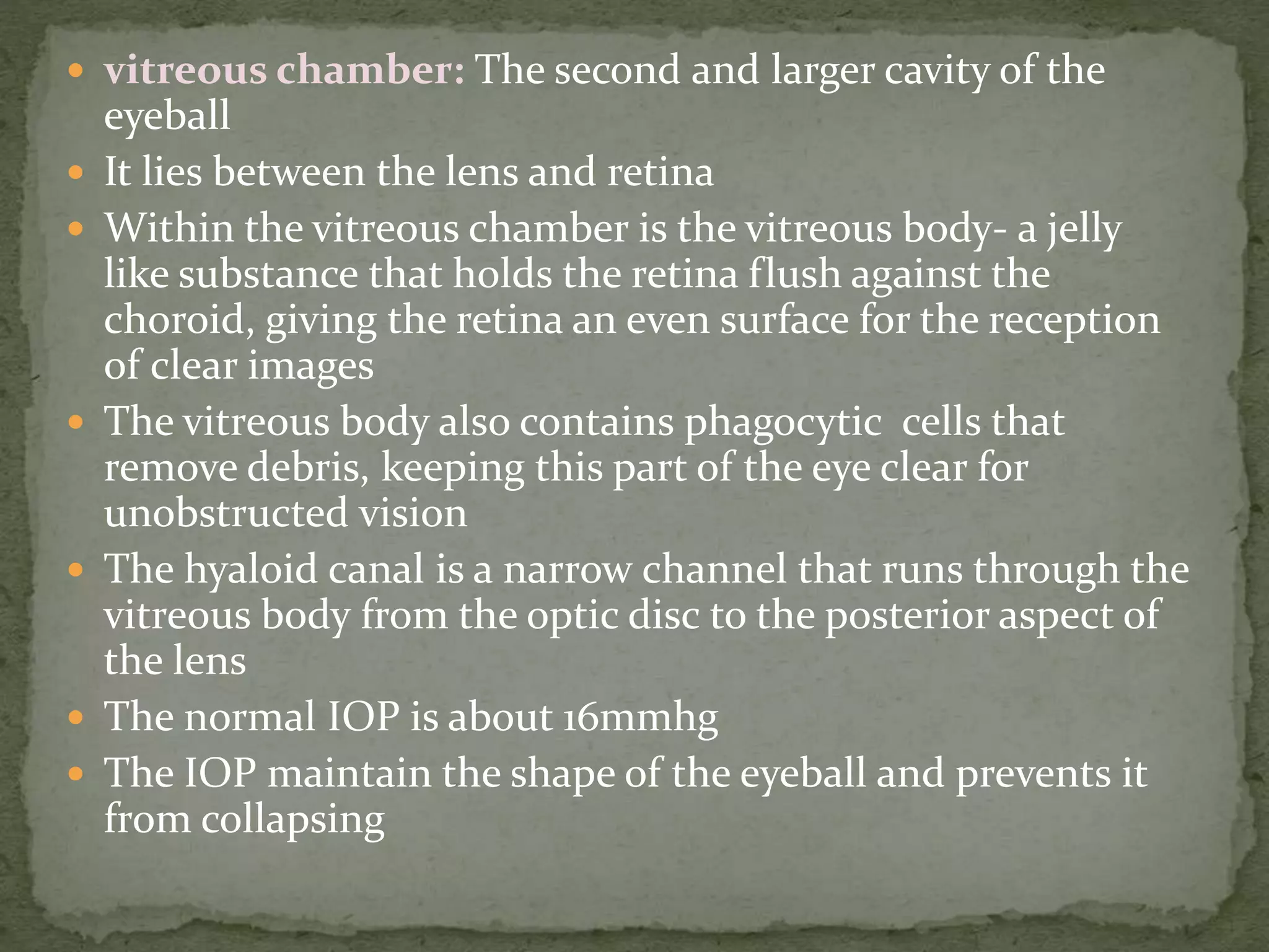 anatomy of eye | PPTX