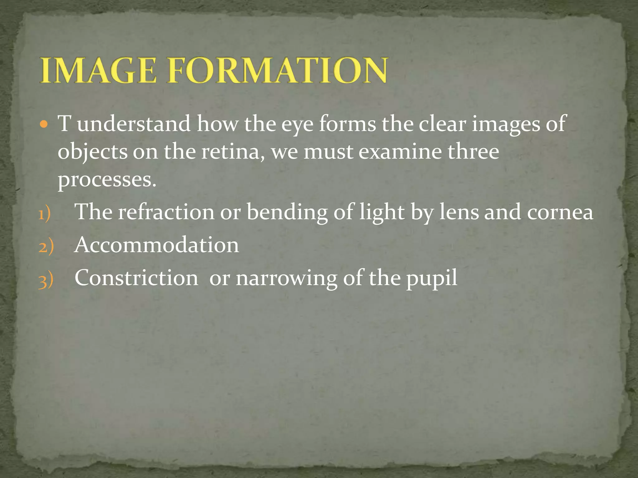 anatomy of eye | PPTX