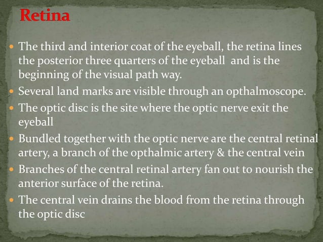 anatomy of eye | PPT