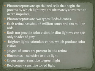 anatomy of eye | PPTX