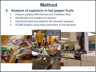 Quantitation of Capsaicin Levels in Hot Peppers by Gas Chromatography ...