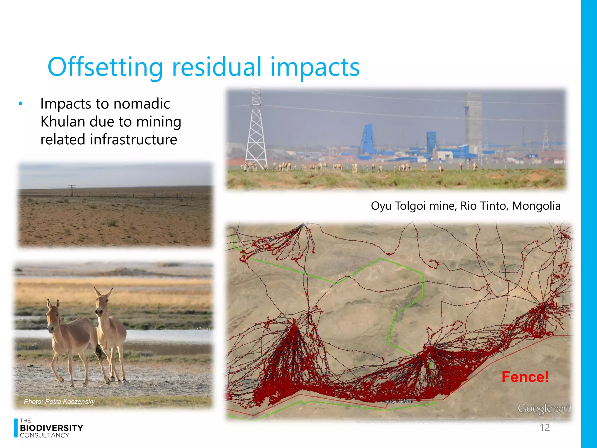Applying the Mitigation Hierarchy for Linear Infrastructure | PDF ...