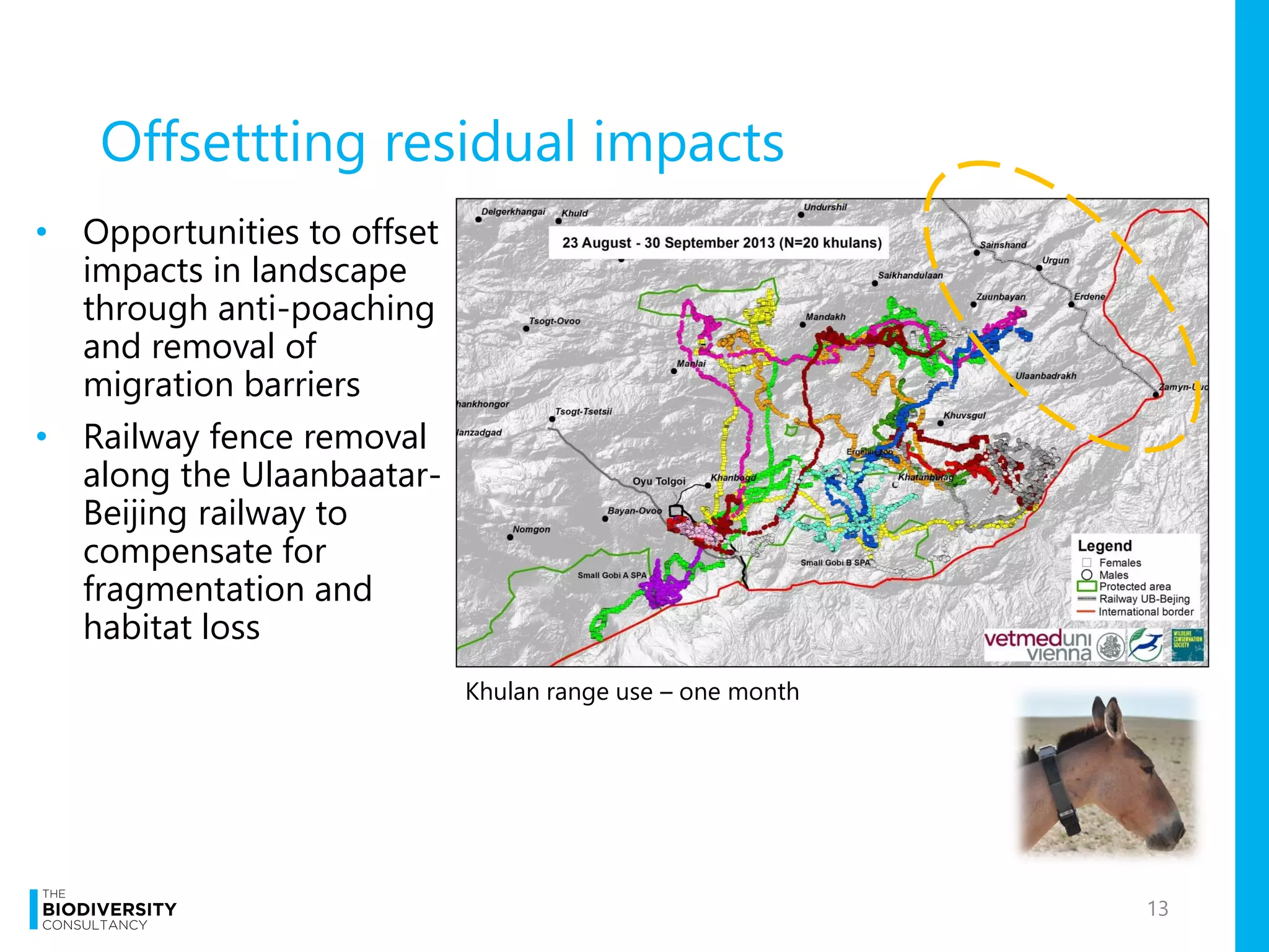 Applying the Mitigation Hierarchy for Linear Infrastructure | PDF ...