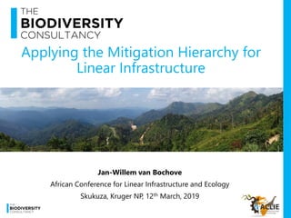 Applying the Mitigation Hierarchy for Linear Infrastructure | PDF