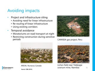 Applying the Mitigation Hierarchy for Linear Infrastructure | PDF ...