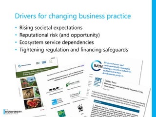 Applying the Mitigation Hierarchy for Linear Infrastructure | PDF ...