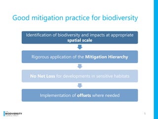 Applying the Mitigation Hierarchy for Linear Infrastructure | PDF ...