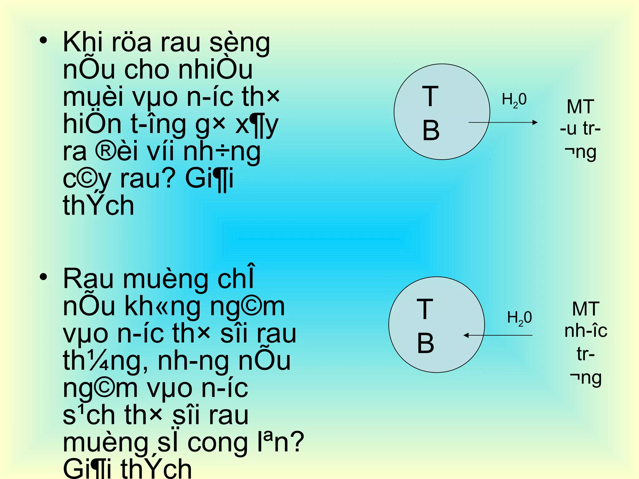 Van chuyen cac chat qua mang te bao | PPT