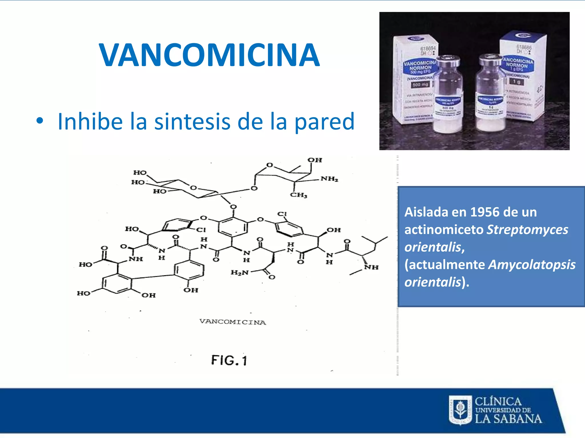 Vancomicina, linezolid, daptomicina farmacologia clinica | PPT