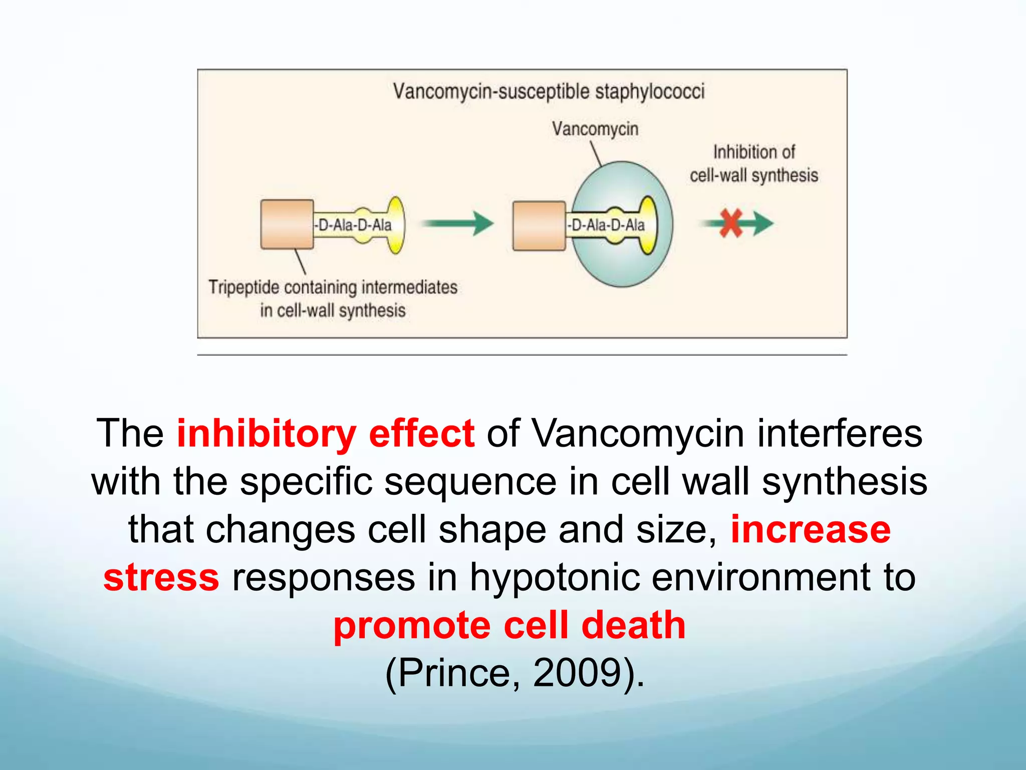 Vancomycin | PPTX
