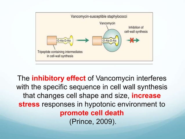 Vancomycin | PPTX | Infectious Diseases | Diseases and Conditions