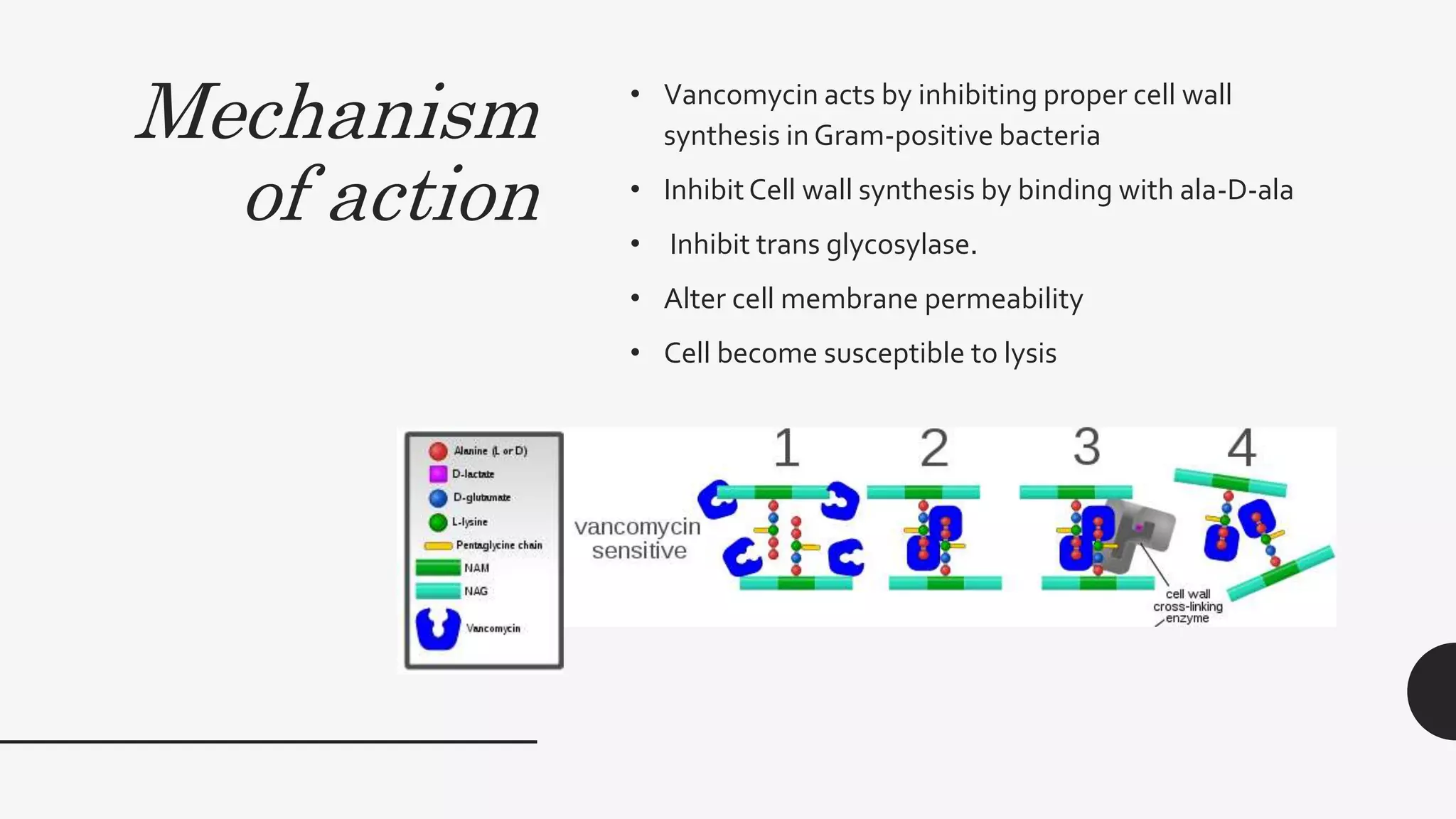 Vancomycin | PPTX