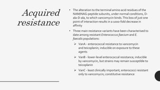 Vancomycin | PPTX