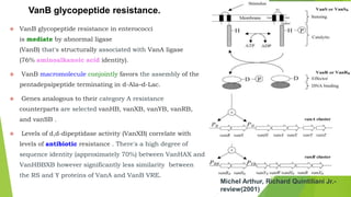 Vancomycin resistant enterococci. | PPTX