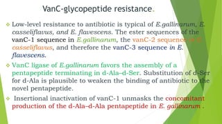 Vancomycin resistant enterococci. | PPTX
