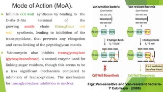 Vancomycin resistant enterococci. | PPTX