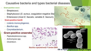Vancomycin resistant enterococci. | PPTX