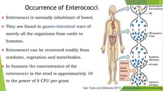 Vancomycin resistant enterococci. | PPTX