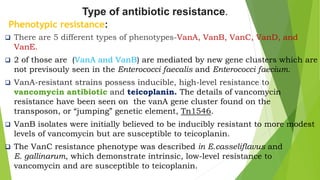 Vancomycin resistant enterococci. | PPTX