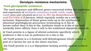 Vancomycin resistant enterococci. | PPTX
