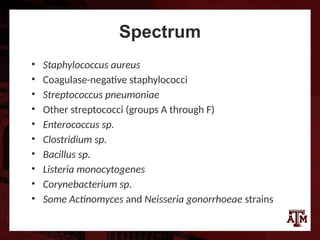 Vancomycin Guideline and Pharmacokinetics 2025 | PPTX