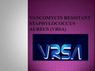 Vancomycin resistant staphylococcus aureus (vrsa).pptx