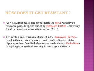 Vancomycin resistant staphylococcus aureus (vrsa).pptx