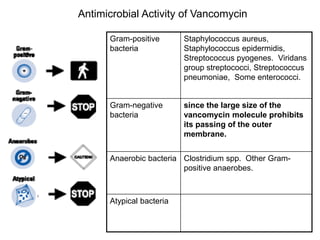 TDM Vancomycin pdf | PDF