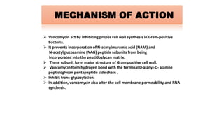 VaNCOMYCIN USAMA SAEED 3.0.pptx
