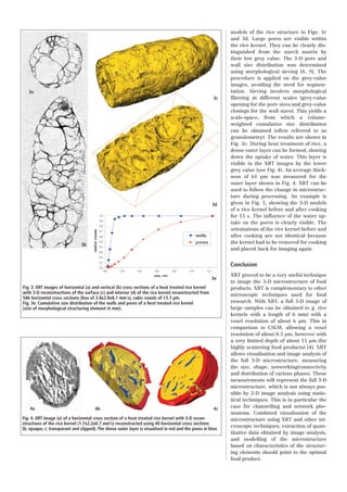 Food microstructure characterization by micro-CT | PDF
