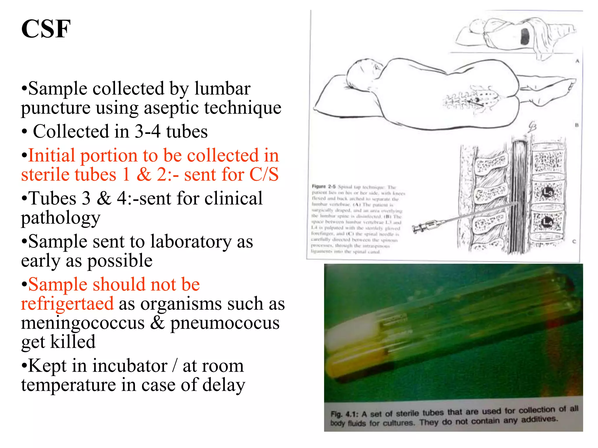 COLLECTION AND TRANSPORTATION OF CLINICAL SAMPLES | PPT