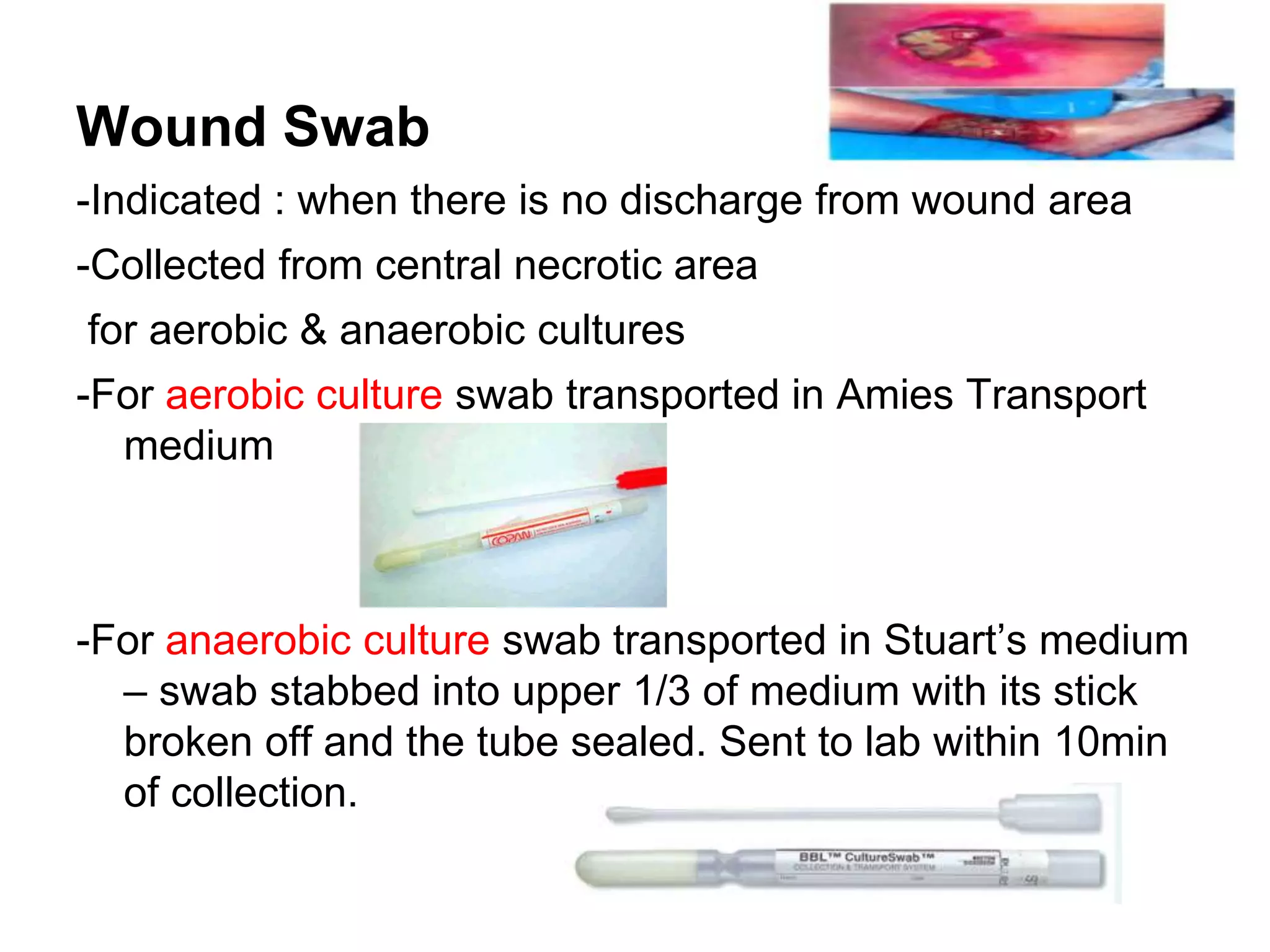 COLLECTION AND TRANSPORTATION OF CLINICAL SAMPLES | PPT