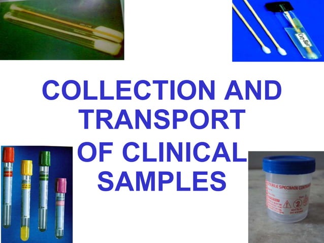 COLLECTION AND TRANSPORTATION OF CLINICAL SAMPLES | PPT | Ear, Nose and ...