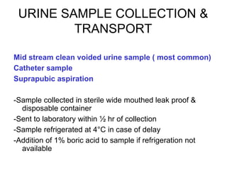 COLLECTION AND TRANSPORTATION OF CLINICAL SAMPLES | PPT