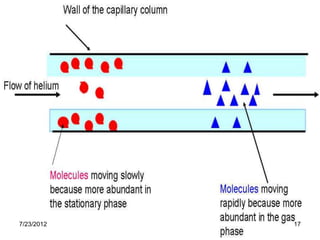 Vandeemeter equation | PPTX