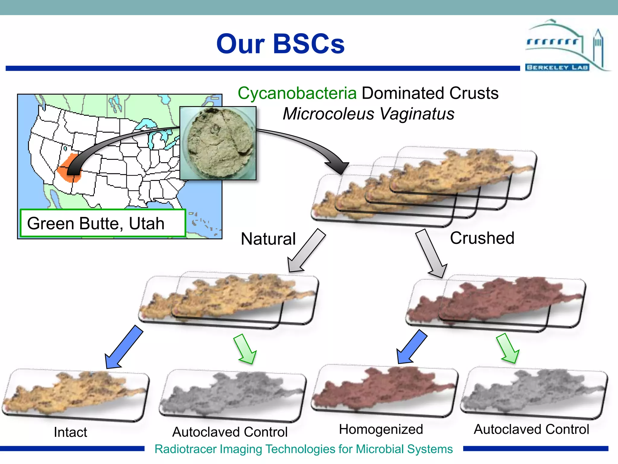 Vandehey 2013 biocrust talk | PPT