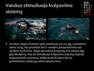 Vandens reikšmė žmogaus organizmui | PPT