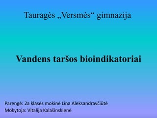 Vandens taršos bioindikatoriai | PPTX