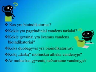 Vandens taršos bioindikatoriai | PPTX