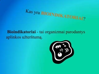 Vandens taršos bioindikatoriai | PPTX