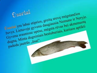 Vandens taršos bioindikatoriai | PPTX