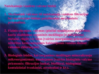 Vandens tarsa | PPT