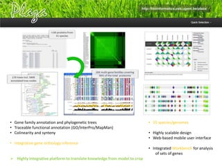 Comparative genomics to the rescue: How complete is your plant genome ...