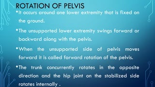 Pelvic Tilting by Vandhana madhu premi | PDF