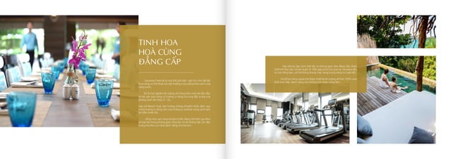 Vanesea field broucher | PPT