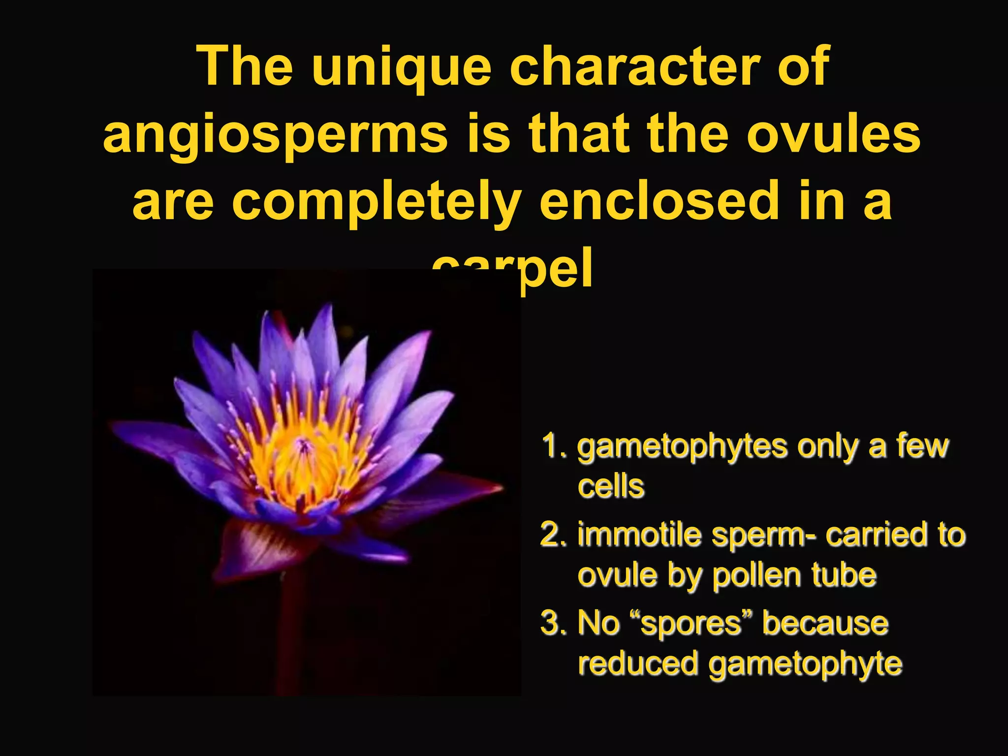 Lab 6 - Angiosperms | PPTX