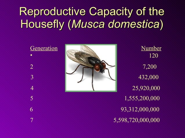 Population Ecology | PPT