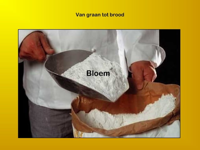 Van graan tot brood | PPT | Agriculture | Industries